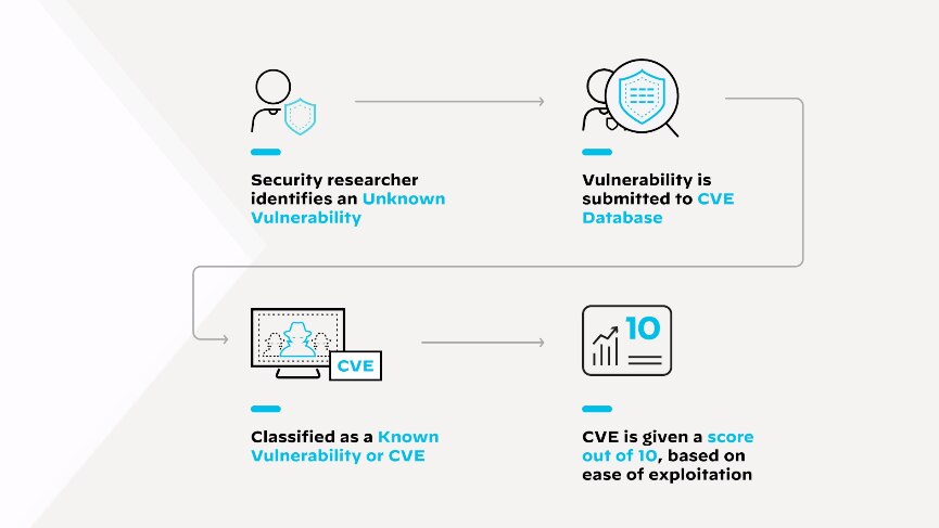 What Is Vulnerability Management? - Palo Alto Networks